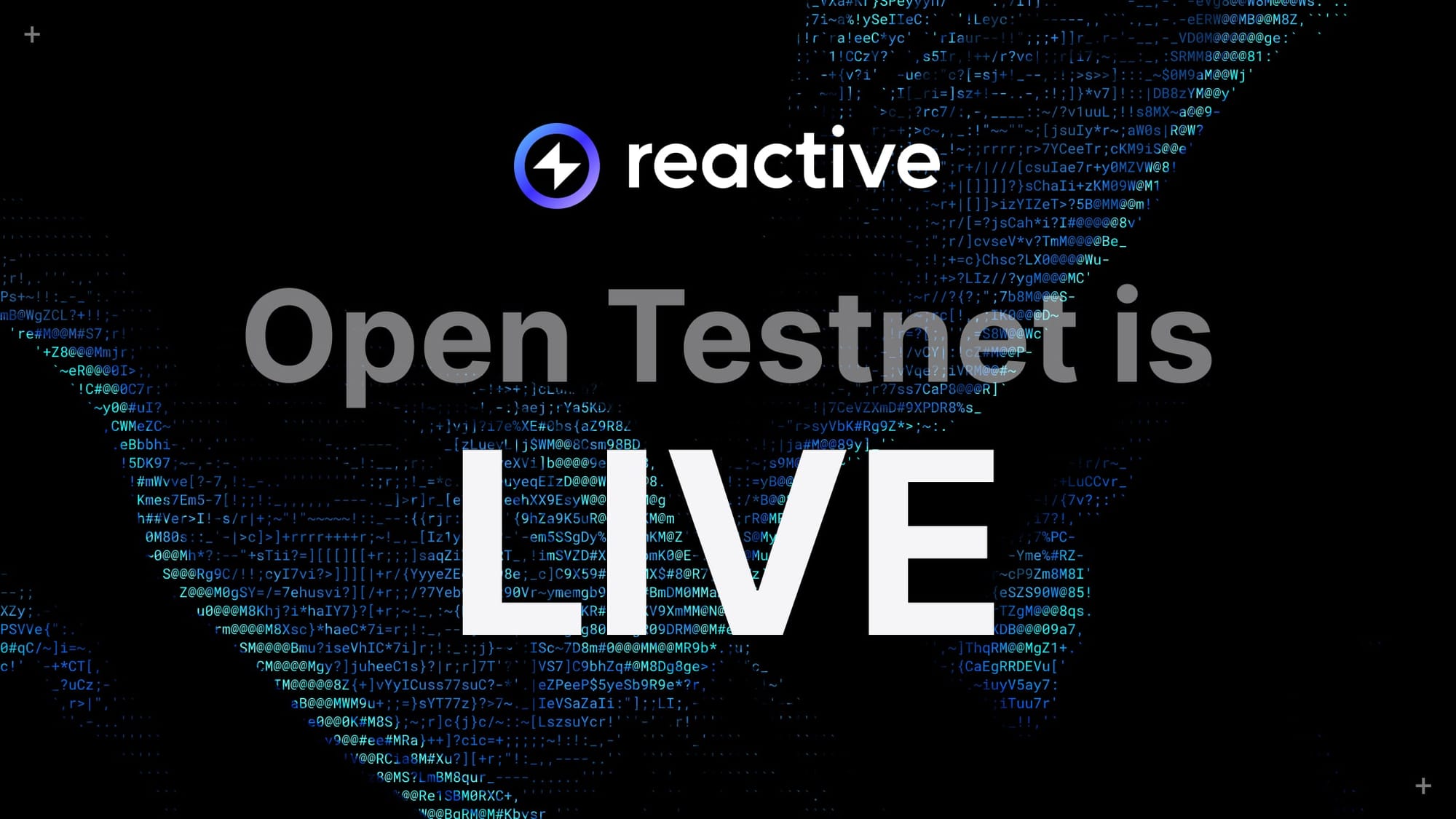 Unveiling Open Testnet: DApp Autonomy is Finally ⚡️ Reactive